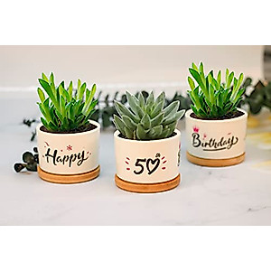 COLOAPT 50th Birthday Gifts for Women,50 Year Old Gifts for Women Best Friend,50th Fabulous Gift Basket for Grandma, Mom, Friend, Wife,Sister, Aunt,Funny 50th Birthday Gift Ideas