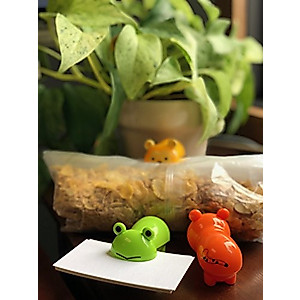 Cute Zoo Animal Chip Bag Clips – 3 Pc Pack – Durable Plastic Clip for Keeping Food Fresh, Organize Kitchen and Office – Perfect for Snacks, Travel & Super Adorable (Frog, Lion, Tiger)