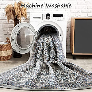 Area Rug Living Room Rugs: 5x7 Large Machine Washable Non Slip Thin Carpet Soft Indoor Luxury Floral Distressed Carpets for Under Dining Table Farmhouse Bedroom Nursery Home Office Multi