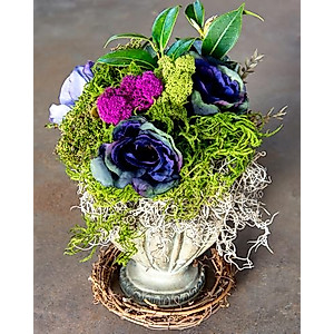 SuperMoss (23311) Elegant Decorative Mixed moss, MultiColor, 120 cu.in., white