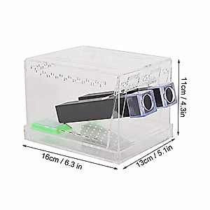 Cricket Keeper with Tubes, Easy to Equipped with Water/Food Feeding Tub Cricket Care Kit for Home for Office(L)