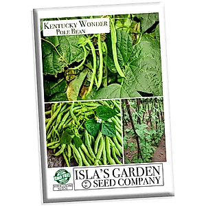 Kentucky Wonder Pole Bean Seeds for Planting, 30 Heirloom Seeds Per Packet, (Isla's Garden Seeds), Non GMO Seeds, Botanical Name: Phaseolus vulgaris, Great Home Garden Gift