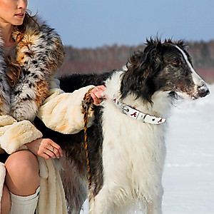 MLB Dog Collar Atlanta Braves New Signature PRO PVC-Leather Premium Pet Collars Extra Tough & Durable! Super Stylish! Size: Medium Adjustable 16-20" Length x 1" Width