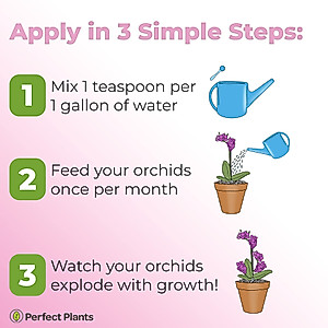 Perfect Plants Liquid Orchid Fertilizer 8oz. | Plant Food for All Epiphytic Varieties | Encourages Repeating Colorful Booms