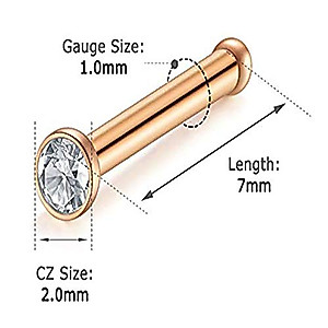 Tvoip 12Pcs 18G 316L Stainless Steel Crystal Nose Ring Women Girl Surgical Steel Nose Piercing Crystal Nose Stud Lot Body Jewelry