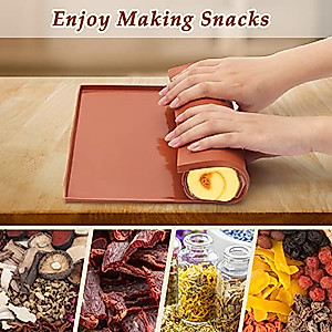 6PCS Silicone Dehydrator Sheets with Edge, Anglecai 12.2 x 10.2 Inch Silicone Dehydrator Mats Compatible with Cosori CP267-FD, Nonstick Dehydrator Trays Liner for Fruits Meat Vegetables