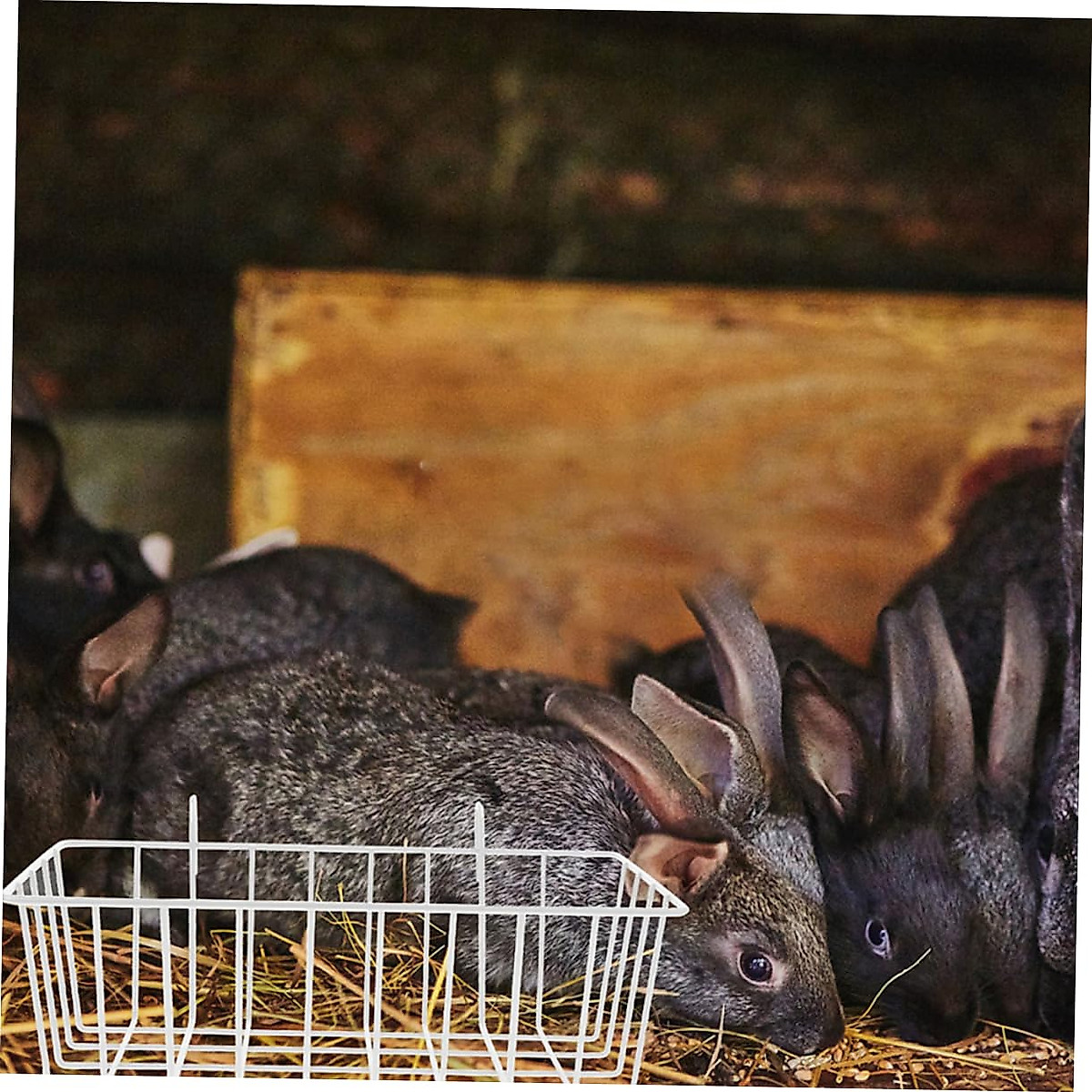 Balacoo Rabbit Rack Bunny Feeder Rabbit Feeders Convenient Rabbit Feeder Hanging Rabbit Feeder Daily Use Rabbit Feeder Rack for Rabbits Feeder Rabbit Grid Accessories Shelf Metal White