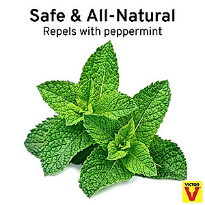 Victor M805 Scent-Away Natural Rodent Repeller – Peppermint Oil Mouse and Rat Repellent – 5 High-Strength Rodent Repelling Sachets Included