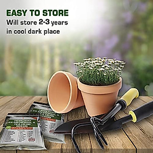 Set of 25 Medicinal Herbs and Herbal Tea Garden Seed Collection - Assorted Culinary Herb Seeds Variety Pack Including Lavender, Chamomile, Thyme, Oregano, Marjoram, and More