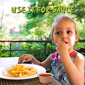 Sieral 2 oz Natural Bagasse Fiber Cups Disposable Food Sugarcane Small Sample Portion Biodegradable Compostable Tasting Cups Souffle Condiment Sauce Ice Cream Dishes for Party(500 Packs)