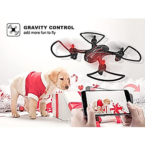 NEHEME NH530 Drones with Camera for Adults Kids, FPV Drone with 1080P HD Camera, RC Quadcopter for Beginners with Gravity Sensor, Headless Mode, One Key Return/Take Off/Landing, Drone with 2 Batteries