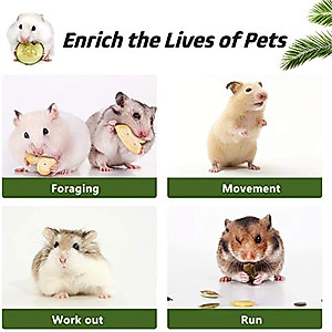 POPETPOP 6 PCS/Set Blue Hamster Track Toy Hamster Exercise Track Toy Rolling Ball Track for Hamster Small Animal Runway Toy Hamster Interactive Roller Ball Track Toy