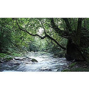 Sony FE 35mm F1.4 GM (SEL35F14GM) Lens Bundle with 67MM Digital HD Filter and Advanced Accessory Kit