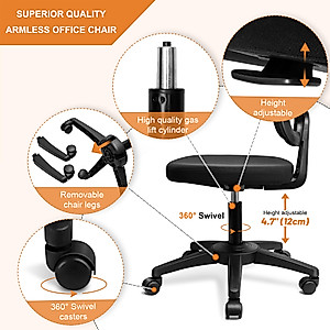 TTD TIANTIANDA Armless Mesh Back Office Computer Desk Chair with Adjustable Height Lumber Support for Adult, Black