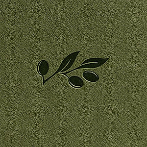 NASB Large Print Personal Size Reference Bible, Olive LeatherTouch, Red Letter, Presentation Page, Cross-References, Full-Color Maps, Easy-to-Read Bible Karmina Type