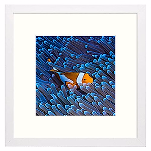 Frametory 12x12 White Picture Frame, Display Pictures 8x8 with Mat or 12 by 12 Without Mat, Square Wall Frame for Print and Diamond Painting - Wide Molding (12x12, White)