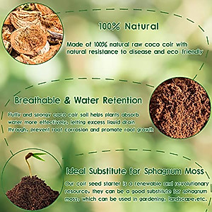 Legigo 2 Pack Premium Coco Coir Brick for Plants- 100% Organic Compressed Coconut Coir Bricks Starting Mix, Coco Coir Fiber Coconut Husk for Planting, Gardening, Potting Soil Substrate, Herbs