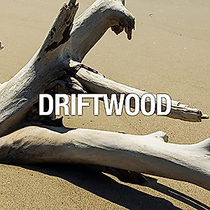 Curve Women's Perfume, Eau De Toilette Spray, Curve Wave, 3.4 Fl Oz