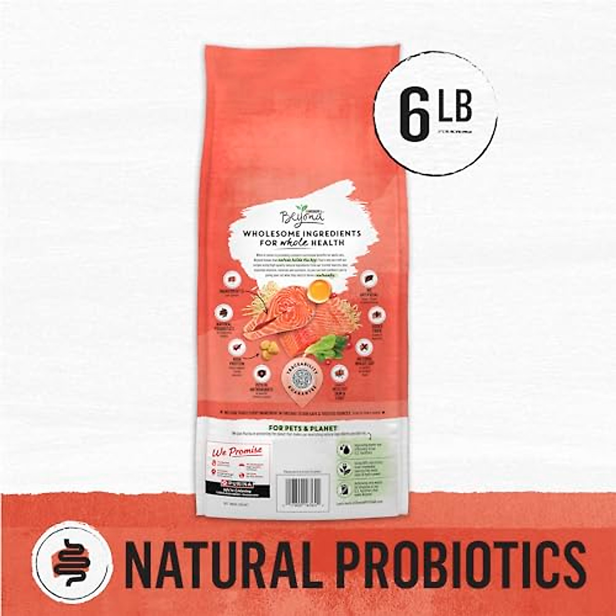 Purina Beyond Natural Wholesome Ingredients for Whole Health Dry Cat Food Salmon and Whole Brown Rice Recipe - 6 lb. Bag