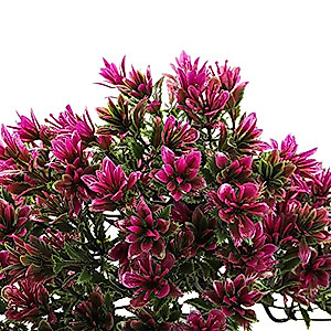 ZEAYEA 2 Pack Artificial Bonsai Tree, Small Fake Plants Decor, Indoor Faux Potted Plant for Living Room Home Table Bathroom Bedroom Office Shelf Farmhouse Decorations, 9.5" Height