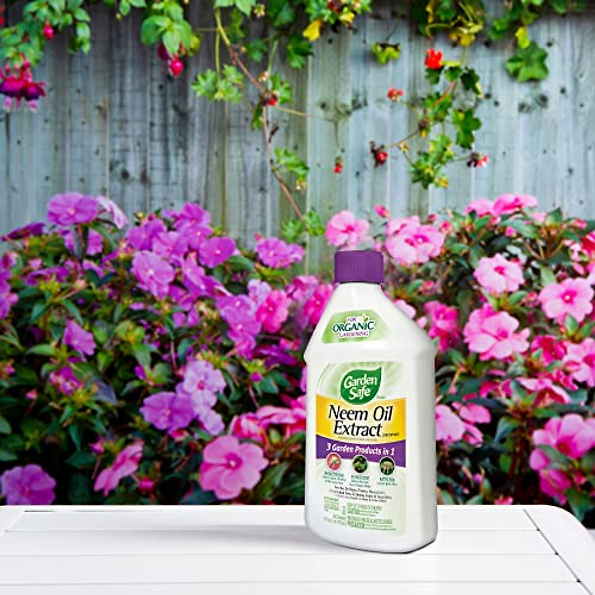 Garden Safe Neem Oil, 10 Fl Oz,  Case Pack of 6