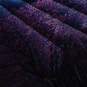 XYNHML Wolf Comforter Set Galaxy Night Moon Bedding Set 3Pcs Howling Wolf Down Lunar Eclipse Bed Set for Kids Teens Room Decor Wild Animals Comforter with 2 Pillowcases