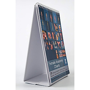 Female Anatomy (Flip Chart)