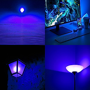 REMINDA Blue Flood Light Bulbs, 15W (100 Watt Equivalent) E26 Base Par38 LED Blue Light Bulb for Halloween Decor, Holiday, Christmas, Porch, Backyard (2 Pack)