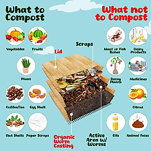 WWJD Worms The Box of Life Worm Wood Composter - Odorless Indoor Vermicomposting Bin - Worm Bins for Composting - Ideal Addition to Worm Composting Kit - Cedar Worm House (Planter Top)
