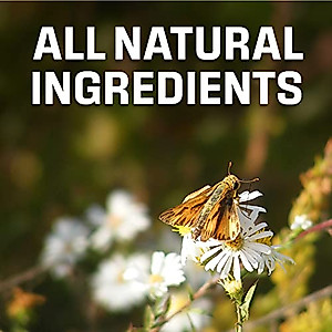 Exterminators Choice 10 Pack Professional Grade Pantry and Moth Traps with Pheromone Attractant | Effective Non-Toxic Safe