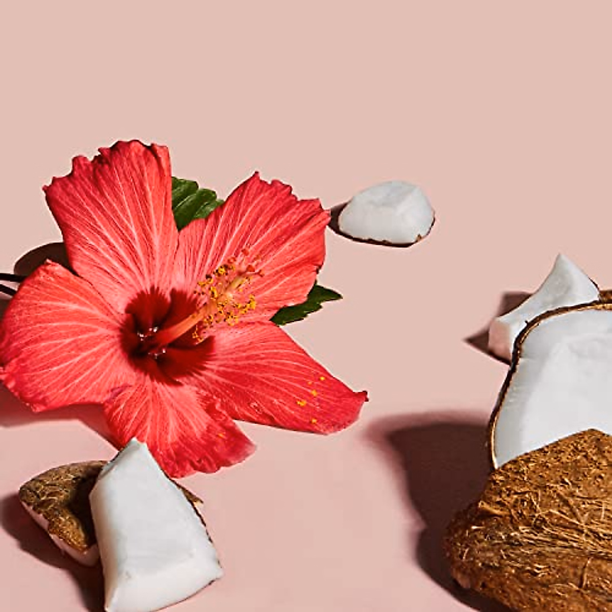 Sheamoisture Kids Extra Moisturizing Detangler for Curly Hair Coconut and Hibiscus Kids Detangler with Shea Butter 8 oz