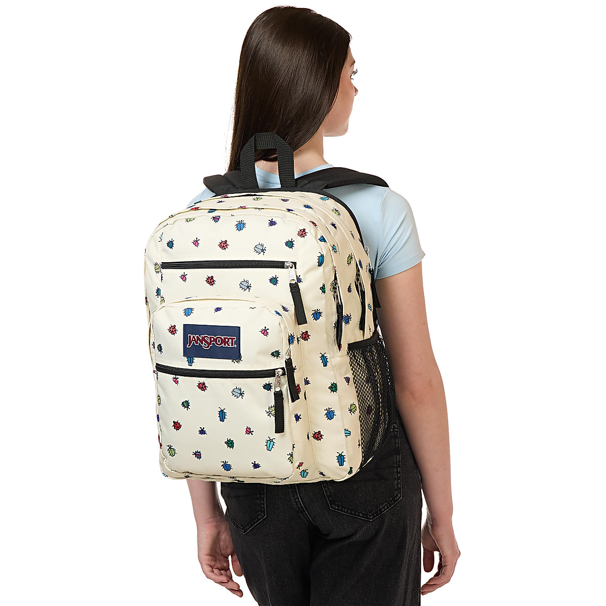 JanSport Big Student, Sunset Stripe, One Size
