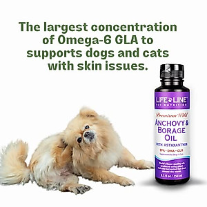 Life Line Pet Nutrition Wild Anchovy & Borage Oil - Premium Fish Oil Supplement for Dogs and Cats with Skin Sensitivites, 26 Fl Oz