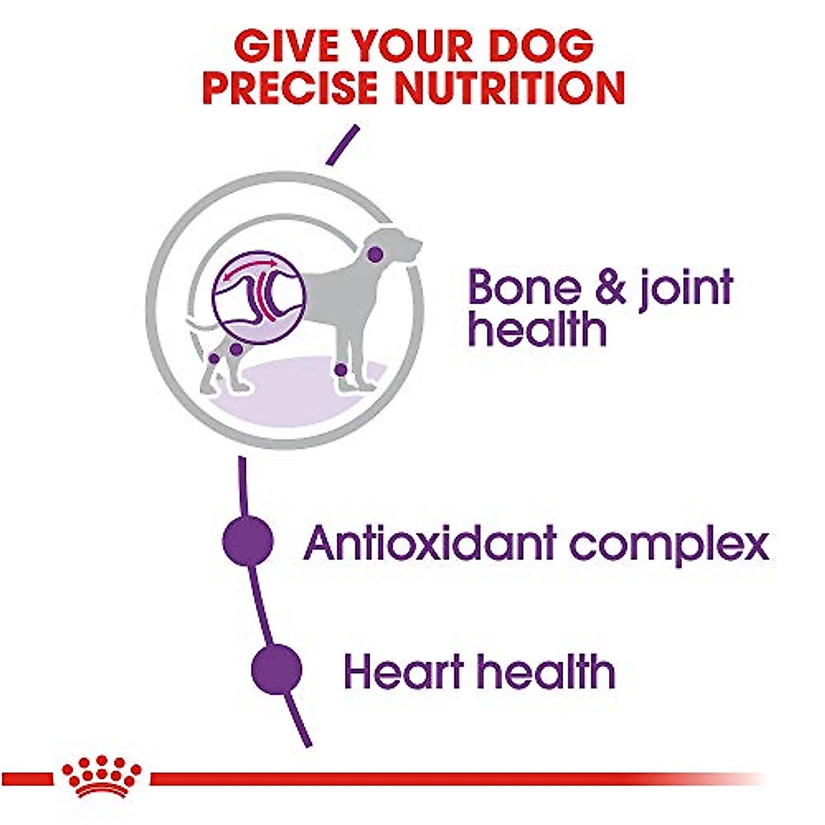 Royal Canin Giant Breed Adult Dry Dog Food, 35 lb bag