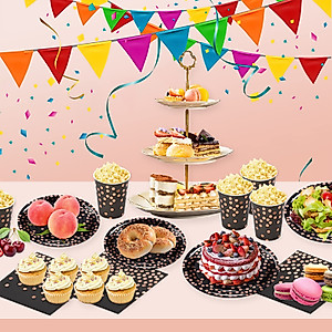 Simbago Black and Rose Gold Party Supplies-Disposable Dinnerware Set 50 Paper Plates 50 Dessert Plates 50 Cups 50 Napkins,Retirement Birthday