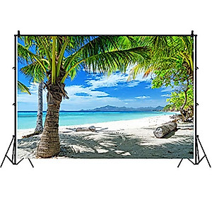 LTLYH 7x5ft Tropical Summer Beach Photography Backdrops Hawaiian Luau Party Blue Sky Sea Background for Outdoor Photo Props A-06
