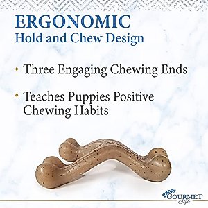 Nylabone Dog, Puppy Gourmet Style Strong Chew Toy Wishbone Peanut Butter Small/Regular (1 Count)