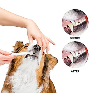 Newday Small Dog & Cat Toothbrush 5 Set, Micro Nano Bristles to Clean pet Teeth Toothbrushes, Puppy Dogs Pet Tooth Cleaning Kit with Storage Box（White