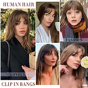 NEHAJUNXI Bangs Hair Clip in bangs 100% Human Hair Extensions Dark Brown Wispy Bangs Clip on Bangs for Women Fringe with Temples Hairpieces Curved Bangs for Daily Wear (Wispy Bangs, Dark Brown)
