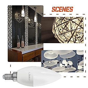 Litake E12 LED Bulbs 60W Equivalent,E12 LED Candelabra Bulbs Daylight,LED Ceiling Fan Light Bulbs, 5000K LED Chandelier Bulb, 600 Lumens, Candelabra Base Ceiling Fan Light Bulbs,12 Pack