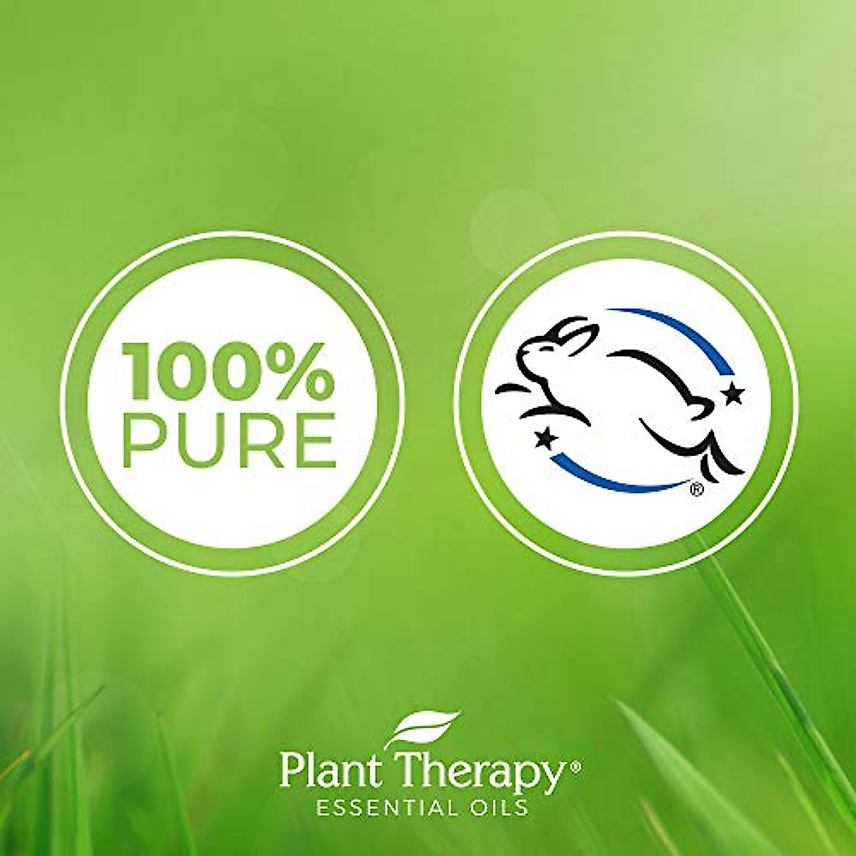 Plant Therapy Oregano Essential Oil 100% Pure, Undiluted, Natural Aromatherapy, Therapeutic Grade 10 mL (1/3 oz)