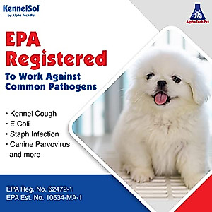 KennelSol 1-Step Kennel Cleaner - Liquid Concentrate Disinfectant and Deodorizer, Effective Against Bacteria and Viruses - 1 Gallon