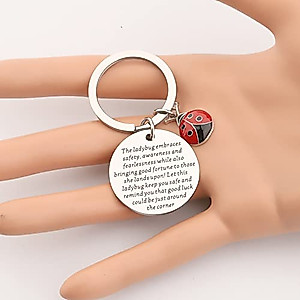 ENSIANTH Ladybug Keychian Good Luck Ladybug Keychain Insect Lover Gift Animal Researchers Jewelry Beetle Ladybug Gift Best Friend Gift (Ladybug Key)