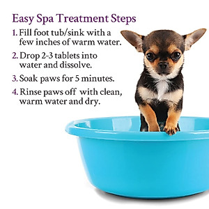 Ginger Lily Farms Dog & Pet Formula Medicated Paw Spa Tablets, 100% Pet Safe & Cruelty-Free, 165-Count