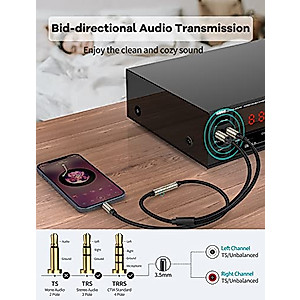 VIOY 3.5mm to Dual 1/4 Inch Audio Splitter Cable, Gold Plated 1/8" TRS Female to Dual Quarter Inch 6.35mm TS Mono Male Plug Braided Stereo Breakout Cable 35cm/13.8inch