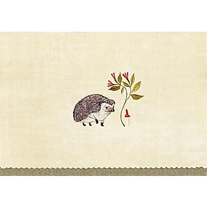 Hedgehog Note Cards (Stationery, Boxed Cards)