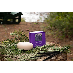 Adirondack Fragrance & Flavor Farm ADK Balsam Lavender Shampoo Bar for Oily Hair & Sensitive Scalp, Essential Oils, Sulfate-Free Plant-Based Vegan & Eco Friendly Solid Hair Cleanser, 2.5 Oz, 70 grams