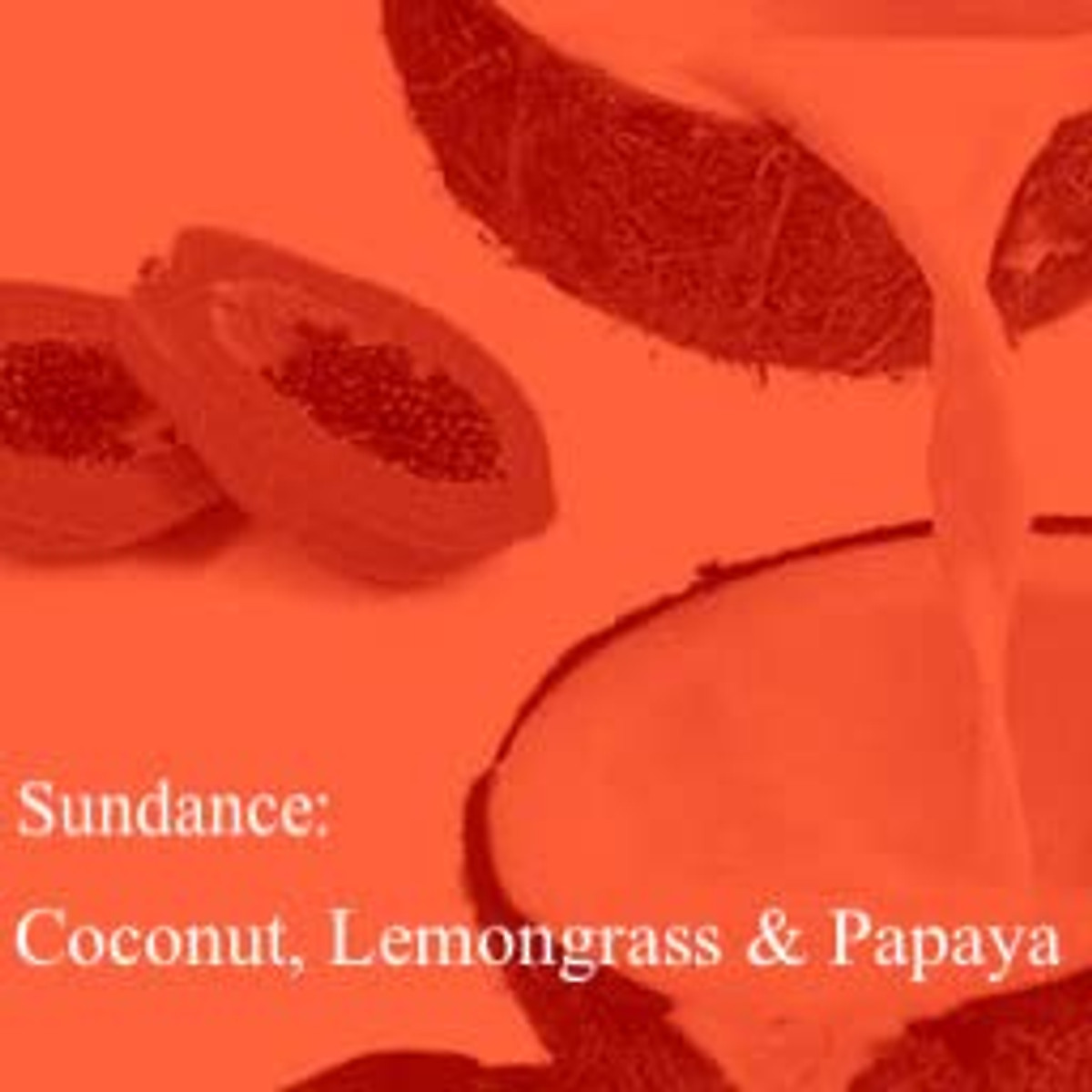 Barbudo Beard Products Beard Balm (Sundance: Coconut, Papaya and Lemongrass)