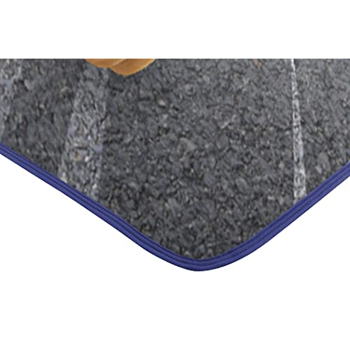 Northwest Paw Patrol Micro Raschel Throw Blanket, 46" x 60", Chase Your Dreams