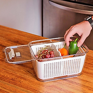 Spec101 Plastic Food Storage 10in - Kitchen Strainer Container with Lid, Large Fridge Containers for Fruits, Vegetables